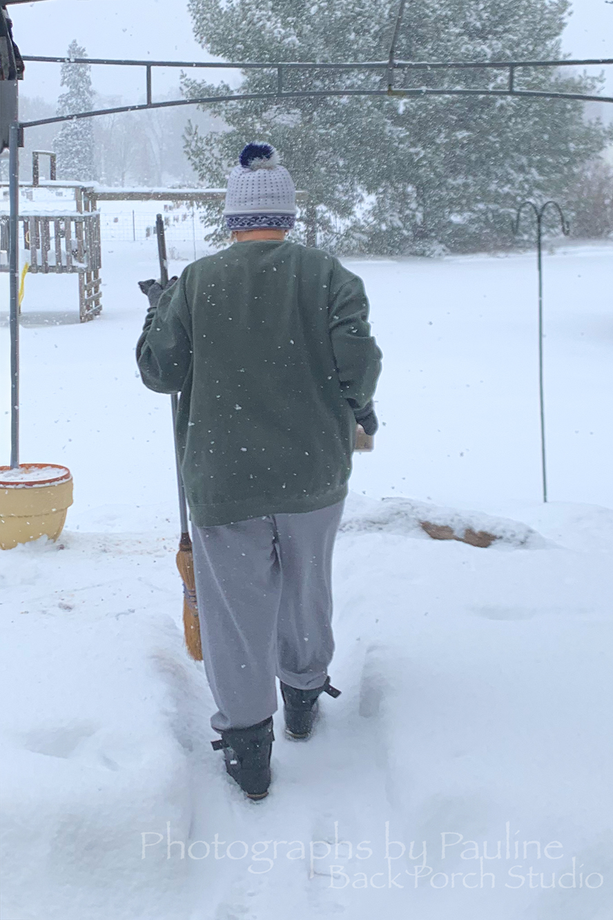 Wordless Notes From My Back Porch – Back Porch Studio